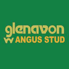 Lot 62 - GLENAVON RATATOUILLE R125 | AuctionsPlus