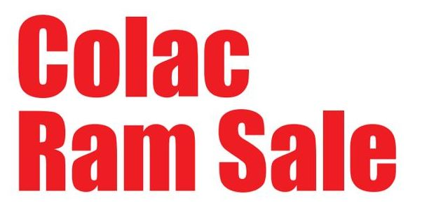 Lot 113 - 201334 Replacement | AuctionsPlus