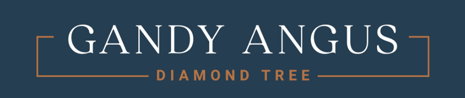 Lot 71 - GANDY POWERPOINT S199 | AuctionsPlus