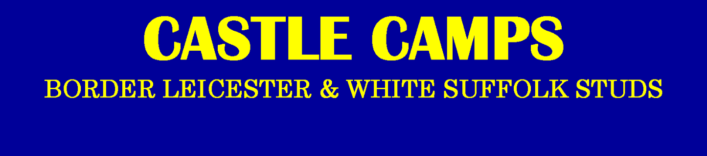 Lot 97 - Tag: 2427 | AuctionsPlus