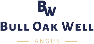 BULL OAK WELL RESILIENT T318 | AuctionsPlus