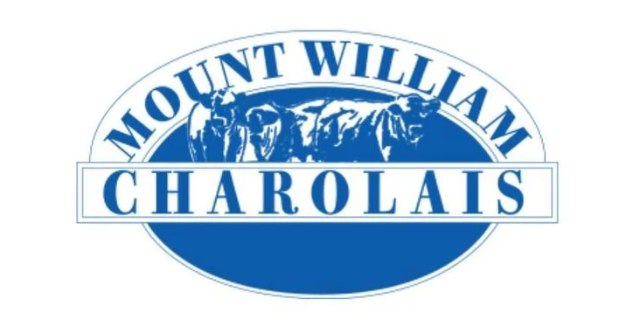 Lot 48 - MOUNT WILLIAM TWILIGHT (P) | AuctionsPlus