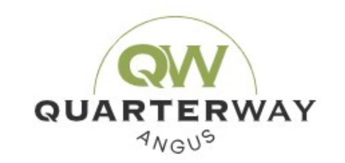 QUARTERWAY ANGUS BULL SALE - Auction 619 | AuctionsPlus