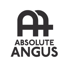 Lot 29 - ABSOLUTE T606 | AuctionsPlus