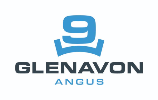 GLENAVON INTENSITY T243 | AuctionsPlus