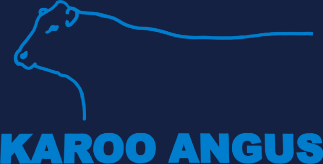 KAROO R12 ENHANCE T273 | AuctionsPlus