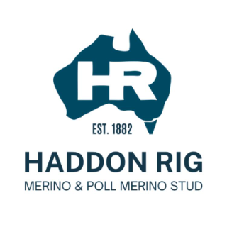 Lot 180 - Tag: 230666 | AuctionsPlus