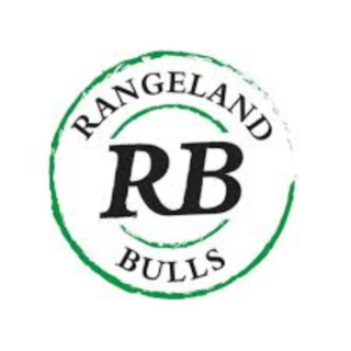 RB 92 | AuctionsPlus