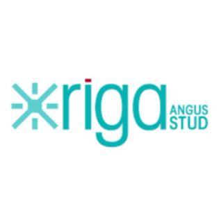 Lot 81 - RIGA KATE U227 | AuctionsPlus