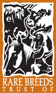 Lot 40 - Galah Book by Annabelle Hickson and Issue 12 of Galah Magazine ...