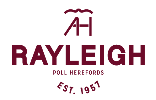 RAYLEIGH ULYSSES U10 (AI) (PP) | AuctionsPlus