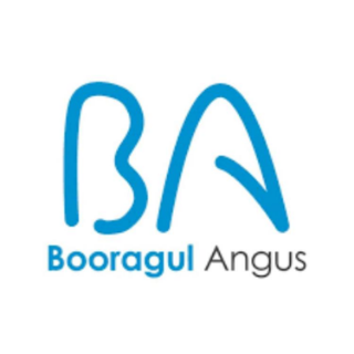 Lot 76 - BOORAGUL PARENTHESIS V27 | AuctionsPlus