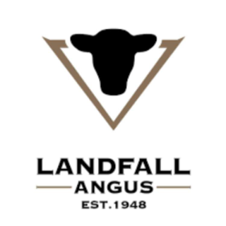 Lot 38 - LANDFALL PARATROOPER U3092 | AuctionsPlus