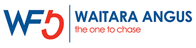 Lot 19 - WAITARA TESTAMENT U060 | AuctionsPlus