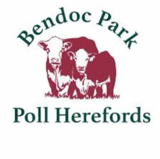 Lot 14 - BENDOC PARK UPSTAGE U61 (PP) | AuctionsPlus