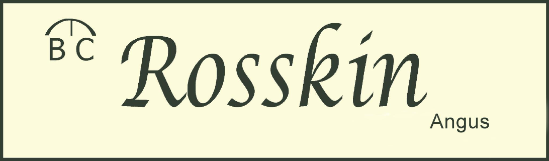 Lot 41 - ROSSKIN DIGNITY U41 | AuctionsPlus