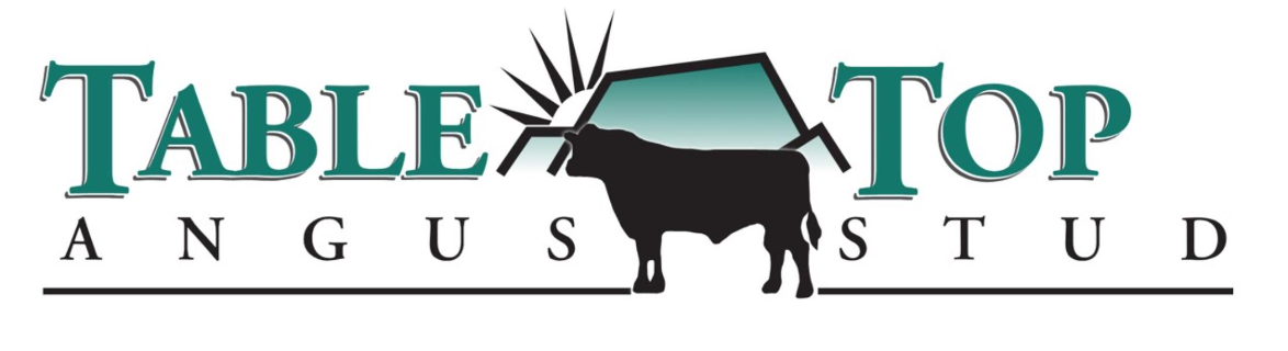 TABLE TOP ANGUS ROCK V256 | AuctionsPlus