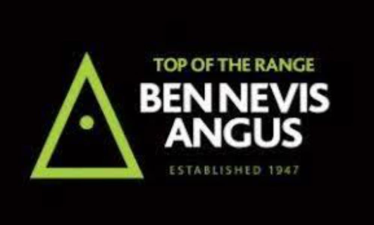 BEN NEVIS V285 | AuctionsPlus