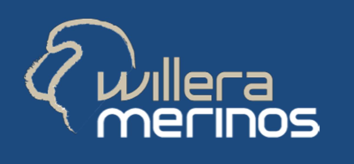 Lot 148 - Willera 248128 | AuctionsPlus