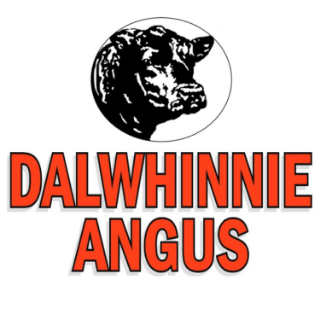 Lot 33 - DALWHINNIE VERNON V17 | AuctionsPlus