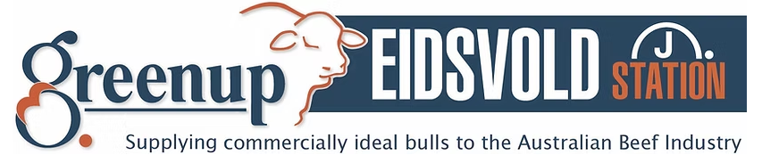 Eidsvold Stn Jam V290 (P) | AuctionsPlus