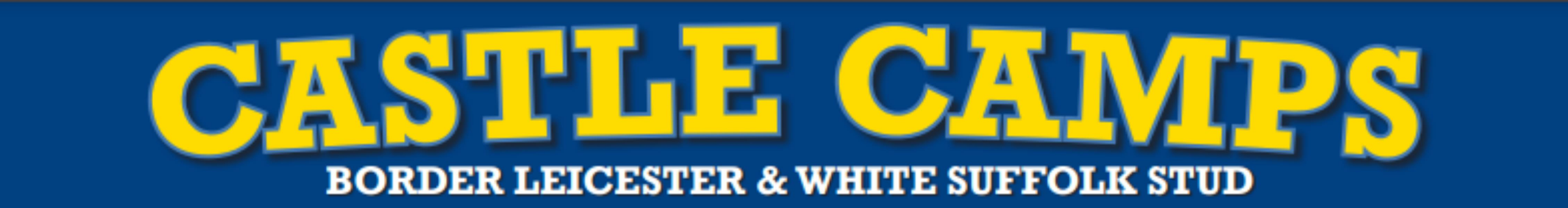 Lot 71 - Tag: 4053 | AuctionsPlus