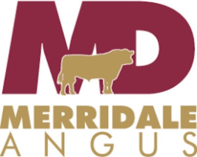 Lot 35 - MERRIDALE WILCOOLA V79 | AuctionsPlus