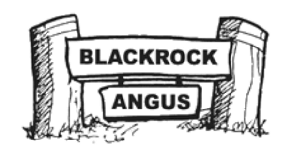 BLACKROCK V268 | AuctionsPlus