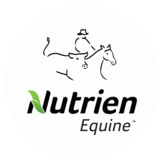 Lot 230 - DARTHILL HALF DOZEN | AuctionsPlus