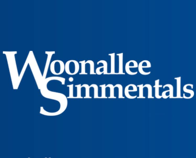 WOONALLEE SECRET SERVICE V401 | AuctionsPlus