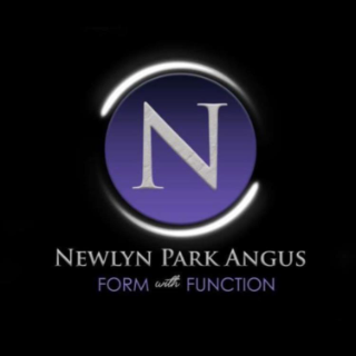 NEWLYN PARK VALENTINO V84 U84 | AuctionsPlus