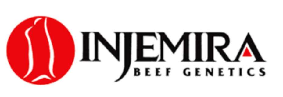 INJEMIRA NORTHAM V344 (P) | AuctionsPlus