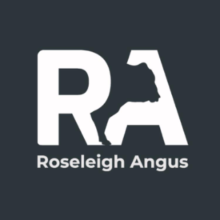 ROSELEIGH VICTOR V19 | AuctionsPlus