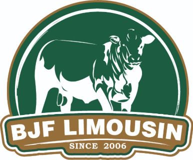 BJF GOLD RUSH JAZZE V33 (PP A U) | AuctionsPlus