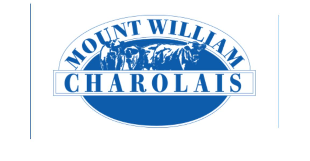 MOUNT WILLIAM VLADIMIR (P) | AuctionsPlus