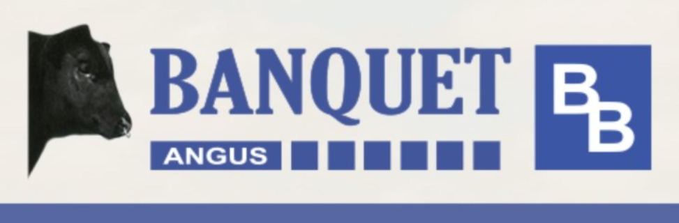 BANQUET ANGUS AUTUMN BULL AND FEMALE SALE - Auction 127585 | AuctionsPlus
