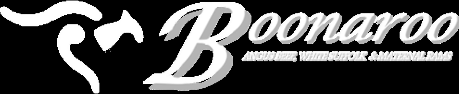 BOONAROO RESOLUTION V191 | AuctionsPlus