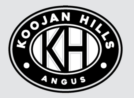 KOOJAN HILLS RIGHT TIME V152 | AuctionsPlus