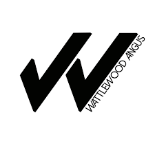 WATTLEWOOD VIGOROUS V110 | AuctionsPlus