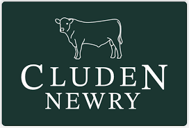 CLUDEN NEWRY V24 | AuctionsPlus