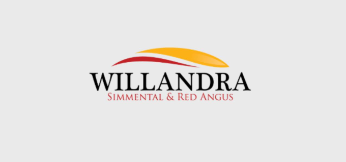 WILLANDRA VILLAIN PCSV79 | AuctionsPlus