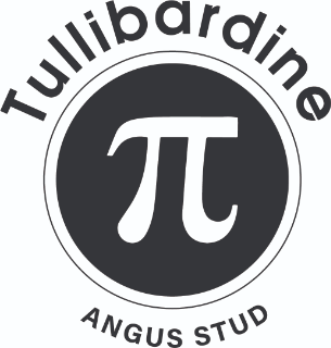 TULLIBARDINE VERMOUTH V46 | AuctionsPlus