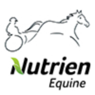 Lot 43 - COBBITY CHEER 2024 FILLY | AuctionsPlus