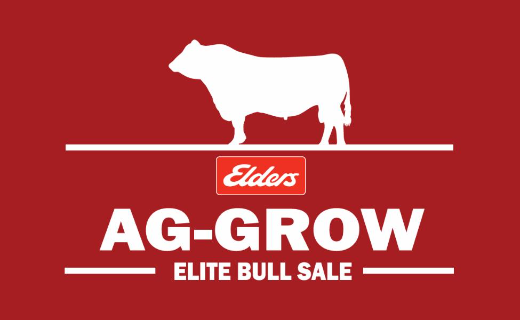ELDERS AG-GROW ELITE BULL SALE - Auction 128213 | AuctionsPlus