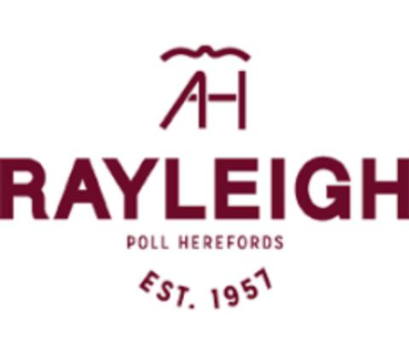 RAYLEIGH VISCOUNT V41 (PP) | AuctionsPlus
