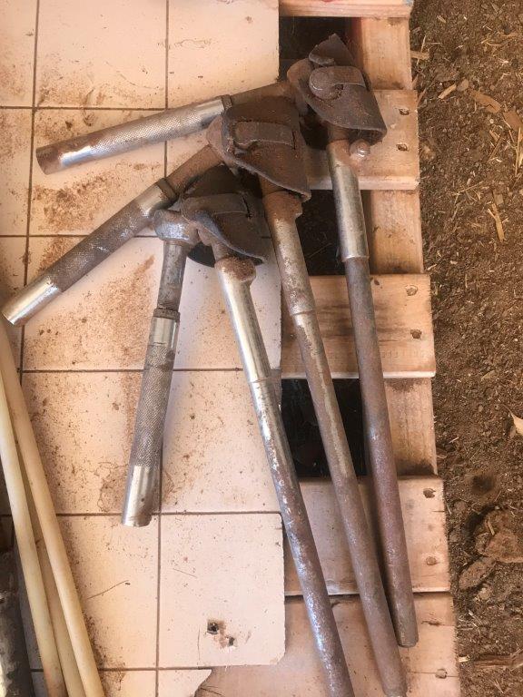 Lot 28 - Shearing Gear | AuctionsPlus