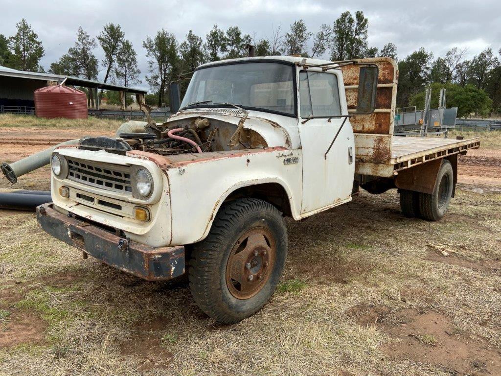 Lot 40 - International C1600 Tip Truck | AuctionsPlus