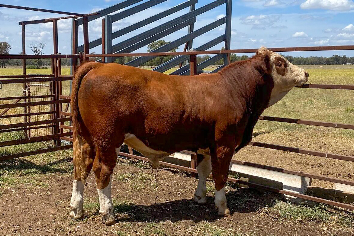 Lot 32 - Stone Ridge Rome | AuctionsPlus