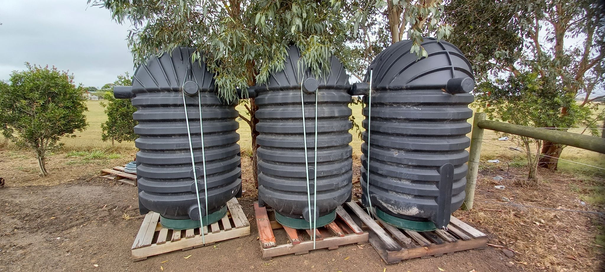 Lot 190 - Poly Tanks x 4 | AuctionsPlus