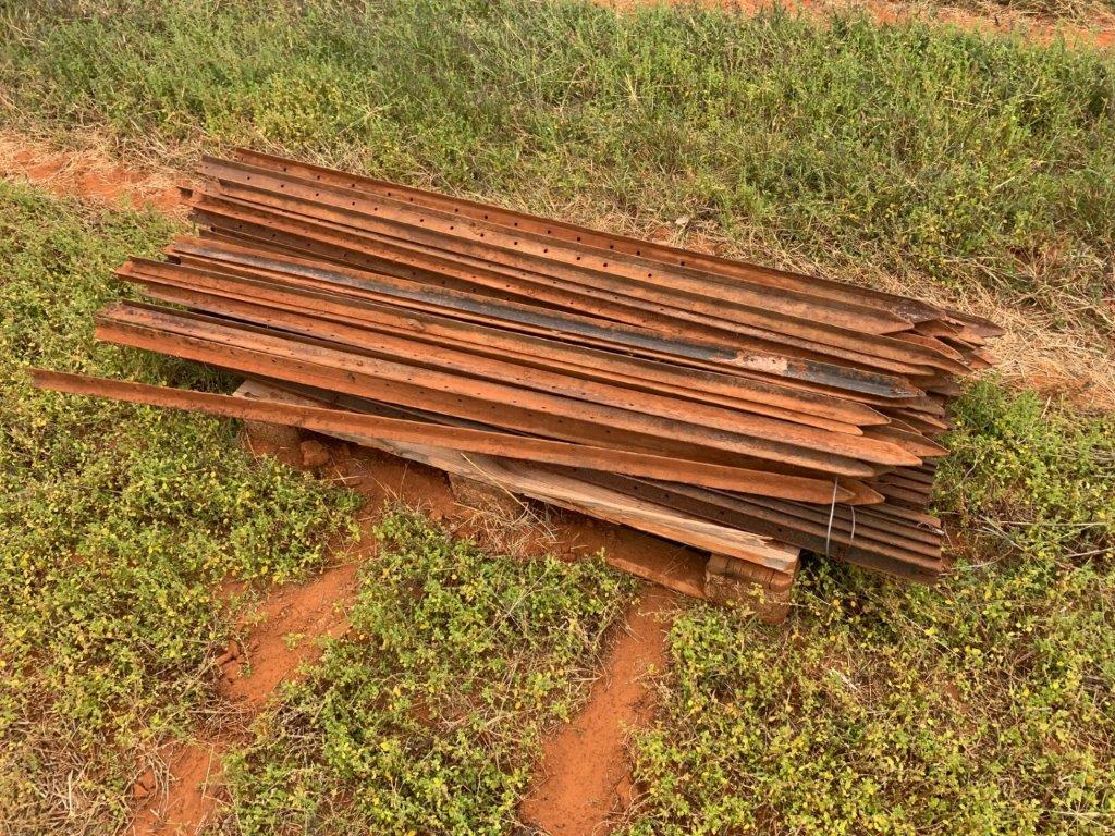 Lot 45 - Steel Posts | AuctionsPlus